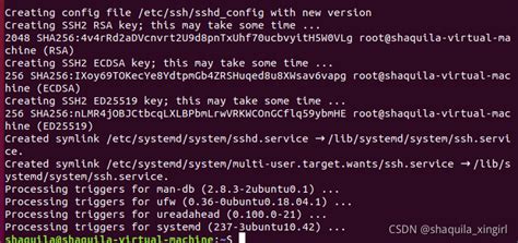 新安装好的vmware中，ubuntu安装openssh Server不成功的解决方法sudo Apt Get Install