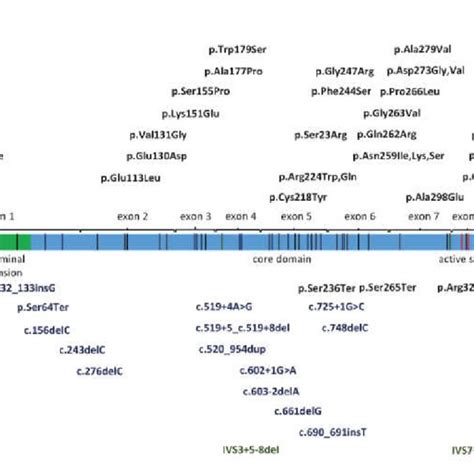 A B Facial Appearance Of Multiple Sulfatase Deficiency Msd Download Scientific Diagram