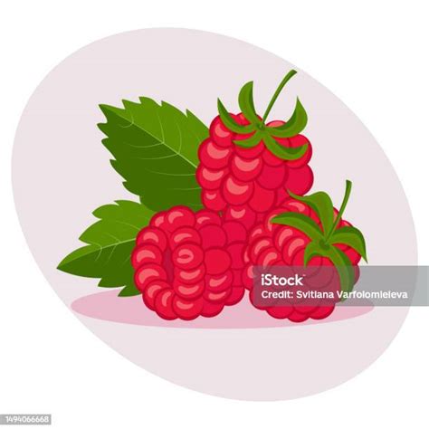 신선한 익은 나무 딸기 천연 여름 과일 건강한 유기농 식품 벡터 개체 그룹에 대한 스톡 벡터 아트 및 기타 이미지 개체 그룹 건강한 식생활 계절 Istock