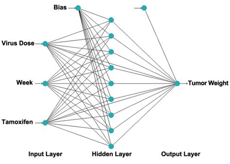 A Multilayer Feed Forward Perceptron Mlp Network Consisting Of Three