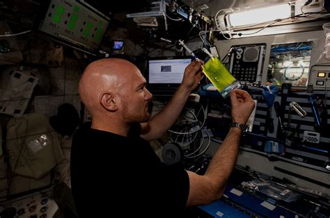 Free Download Nasa Microalgae Photobioreactor System