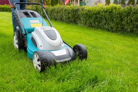 7 Signs You Are Cutting Your Grass Too Short