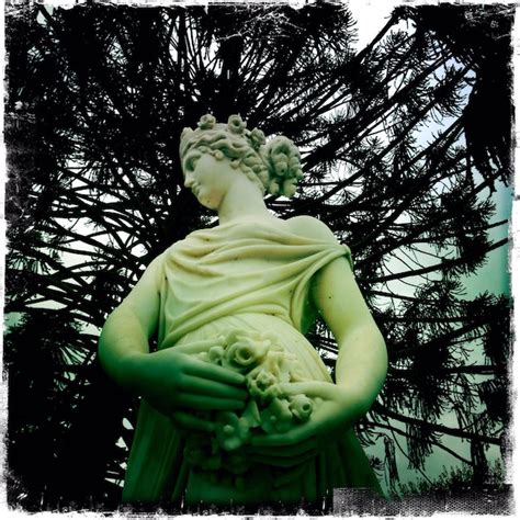 Premium Photo Close Up Of Tree