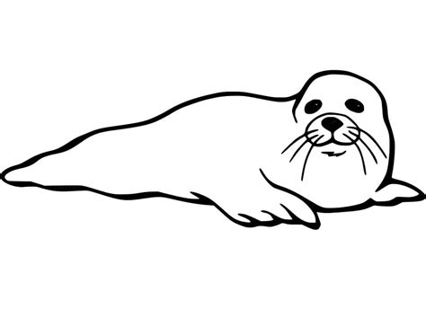 Coloriage Un Phoque Heureux télécharger et imprimer gratuit sur