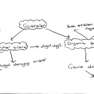 Shape Coding Plural Subjects With Plural Verbs Download Scientific Diagram