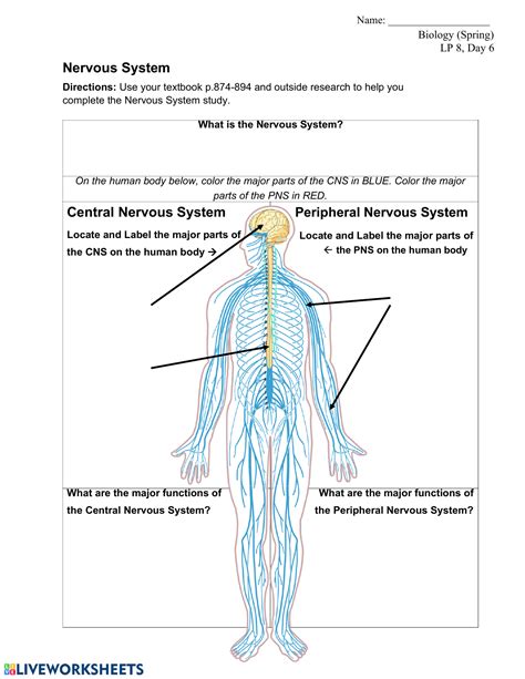 Central Nervous System Diagram Labeled Toxtutor Neurotoxicity Part