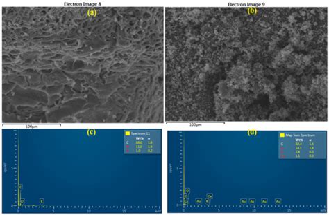 Water Free Full Text Green Synthesis Of Surface Modified Biochar For Simultaneous Removal Of