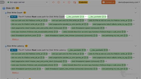 Pinpointing The Hottest Rust Code Paths With High Disk Io Using