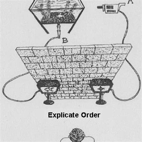 We Are Perennially Immersed In The Implicate Order According Our