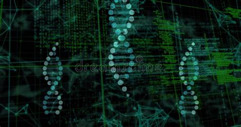 Coding Genome Stock Illustrations 906 Coding Genome Stock