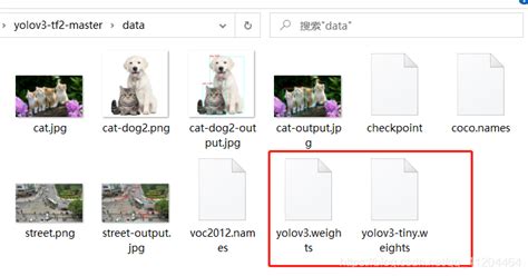Yolov3物体目标检测之实战篇（windows系统、python3、tensorflow2版本） 阿里云开发者社区