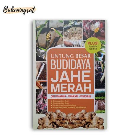Jual Untung Besar Budidaya Jahe Merah Dari Penanaman Pemanenan