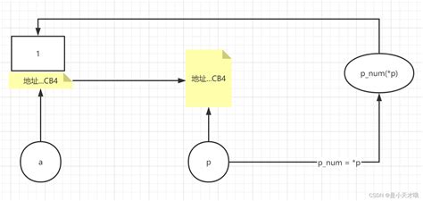 C语言初级指针应用int Num 1 Int P Csdn博客