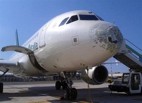 遭极端冰雹袭击后的飞机 手机凤凰网