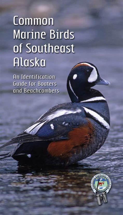 31 Free Printable Duck Identification Charts [pdf]