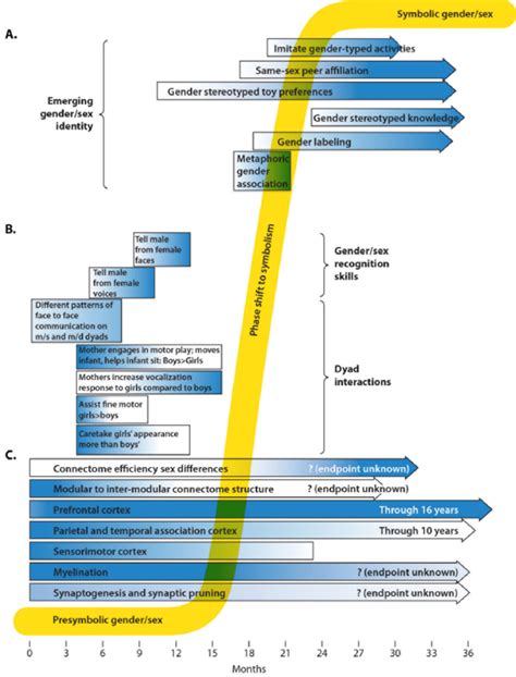 Composite Timeline Illustrates Systems Undergoing Change From Birth To Download Scientific