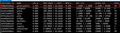 程序员 使用gitea搭建自己的git远程仓库 个人文章 Segmentfault 思否