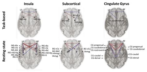Frontal To Cortical Subcortical Connectivity Ppi Connectivity First