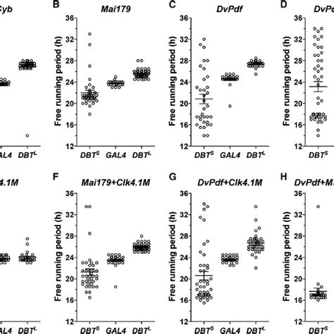 Coherent Free Running Rhythms Require Molecular Clock Synchrony In Download Scientific Diagram
