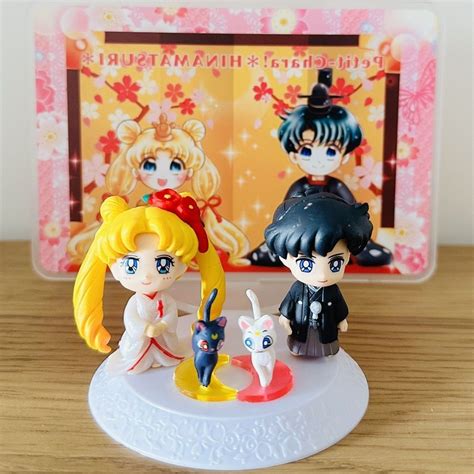 Sailor Moon Land Guard Night Dress Masked Moon Hare Sailor Moon Suit