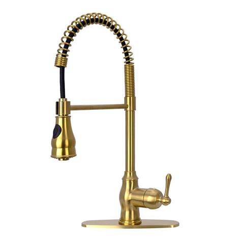 Akicon Single Handle Pre Rinse Spring Pull Down Sprayer Kitchen Faucet