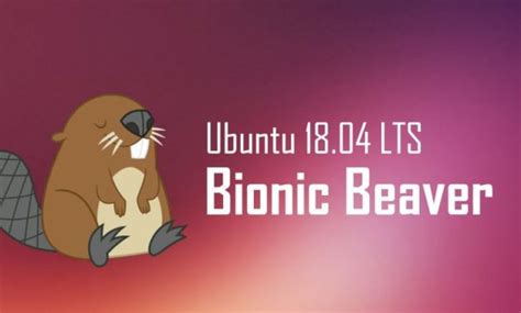 Repository Lokal Indonesia Ubuntu Bionic Beaver Alfi Network
