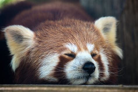 5 useful pandas functions reimplemented in pyspark towards data science