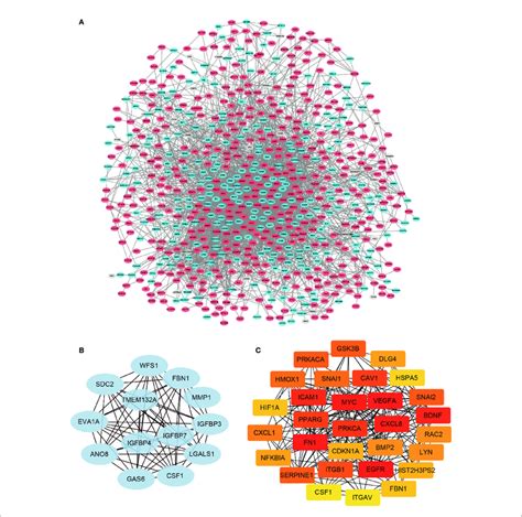 Ppi Network Construction And Module Analysis A The Ppi Network Of