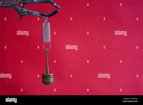 Masses Hanging On A Stretched Spring Isolated On A Red Background