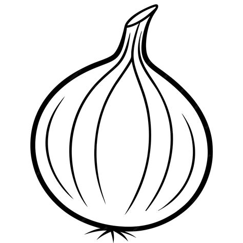 Shallots Vegetable Outline Coloring Book Page Line Art Drawing
