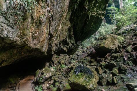 Entrance To Deer Cave At Gunung Mulu National Park Sarawak Stock Photo