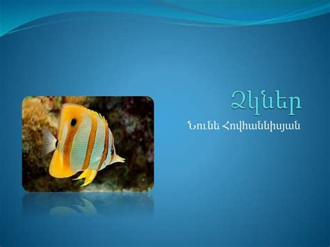 Ձկներ Ppt