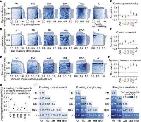 shared and specialized coding across posterior cortical areas for