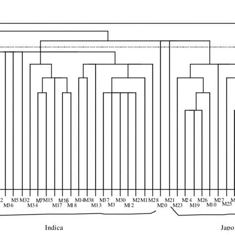 Dendrogram Constructed From Euclidean Distance Using Upgma For 8