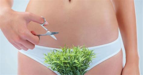 Female Pubic Hair Untrimmed