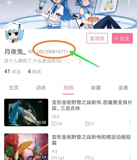 哗哩哗哩bili号说明 哔哩哔哩
