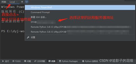 Python程序 含配置参数 在Linux服务器终端运行方法及问题解决 linux python服务部署启动 CSDN博客