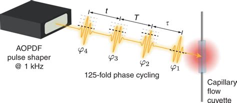 Scheme Of The Experiment An Acousto Optic Programmable Dispersive Download Scientific Diagram
