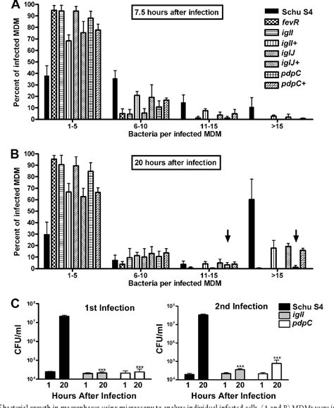 Figure 3 From Pdpc And Reveals A Unique Phenotype For Virulence In Mice In Vivo Macrophages And