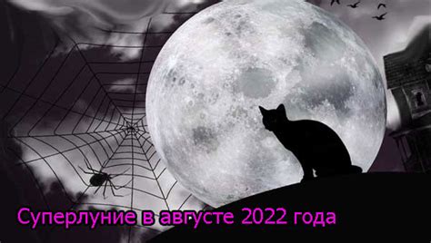 Когда полнолуние Суперлуние в августе 2022 года как улучшить жизнь с помощью магии