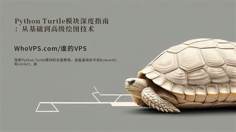 Python Turtle模块深度指南：从基础到高级绘图技术 谁的主机