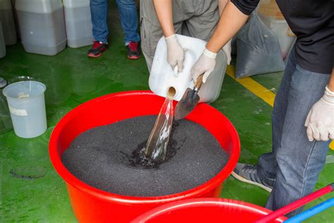 Ganoderma A Basal Stem Rot Disease Unm Campus News