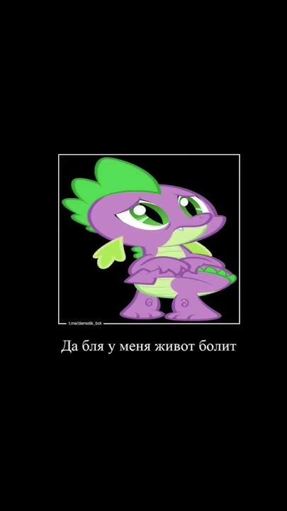 у спайка живот болит Brony Memes Mlp Mem Youtube