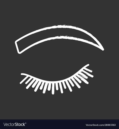 Rounded Eyebrow Shape