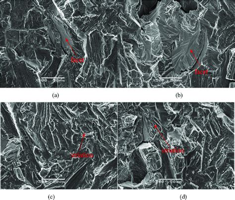 Typical Sem Micrographs Of The Fracture Surface For The Region C