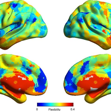 Spatial Definition Of The Six Brain Functional Atlases Each Color Download Scientific Diagram