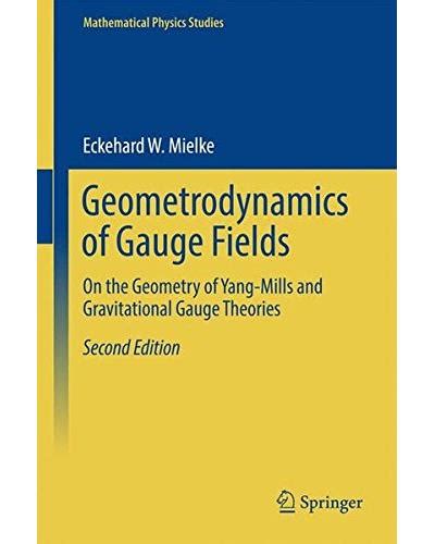 Geometrodynamics Of Gauge Fields Relié Eckehard W Mielke Achat Livre Ou Ebook Fnac