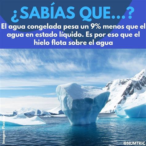 Sabias Sabias Que Datos Curiosos Sabias Que Palabras Vrogue Co