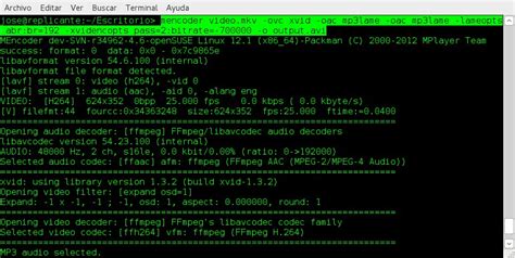 Convertir Mkv A Avi Con MEncoder La Mirada Del Replicante